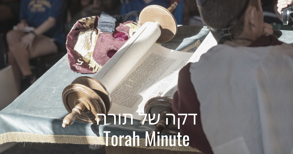 Torah Minute with Rav Yaakov - Ki Tisa 5780 | Camp Yavneh